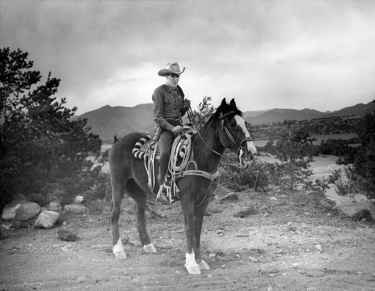 Appearances | Buddy Johnson | John Johnson